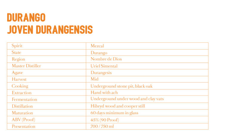 Derrumbes Durango - CASA ENDEMICA